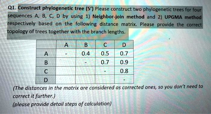 SOLVED: Q1 Construct phylogenetic tree (5') Please construct two phylogenetic trees for four ...