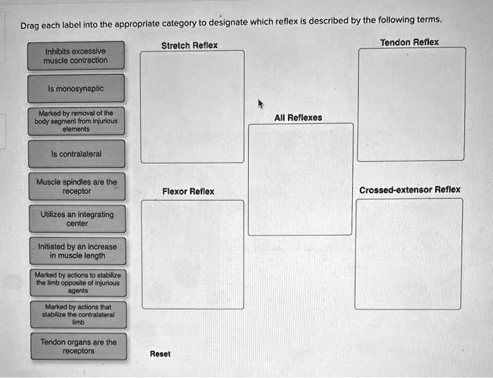 texts drag each label into the appropriate category to designate which ... texts drag each label into the appropriate category to designate which ...