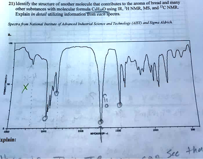 21) Identify the structure of another molecule that contributes to the ...