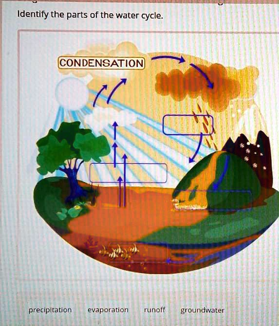 SOLVED: I dress each label to the correct location on the image and ...