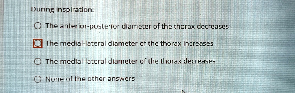 During inspiration: The anterior-posterior diameter of the thorax decreases The medial-lateral ...