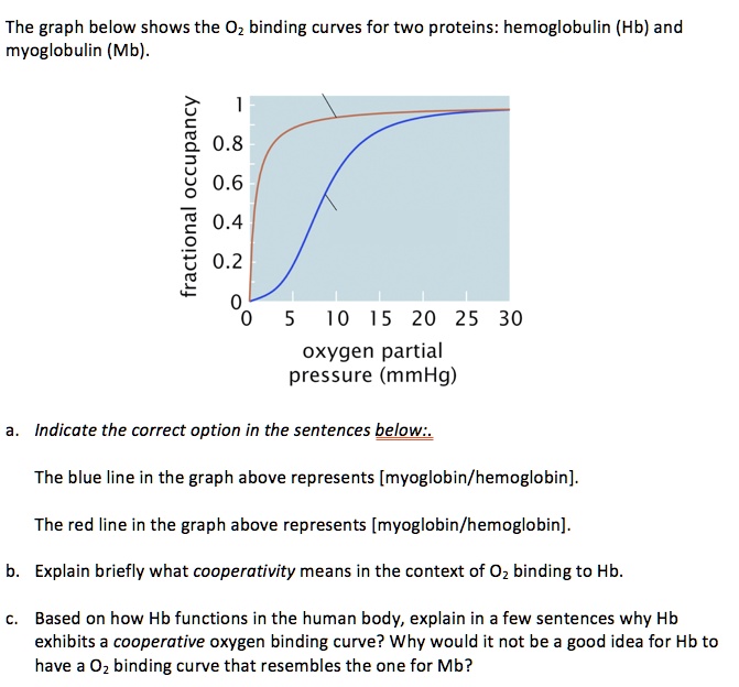 SOLVED: The graph below shows the O2 binding curves for two proteins: hemoglobin (Hb) and ...