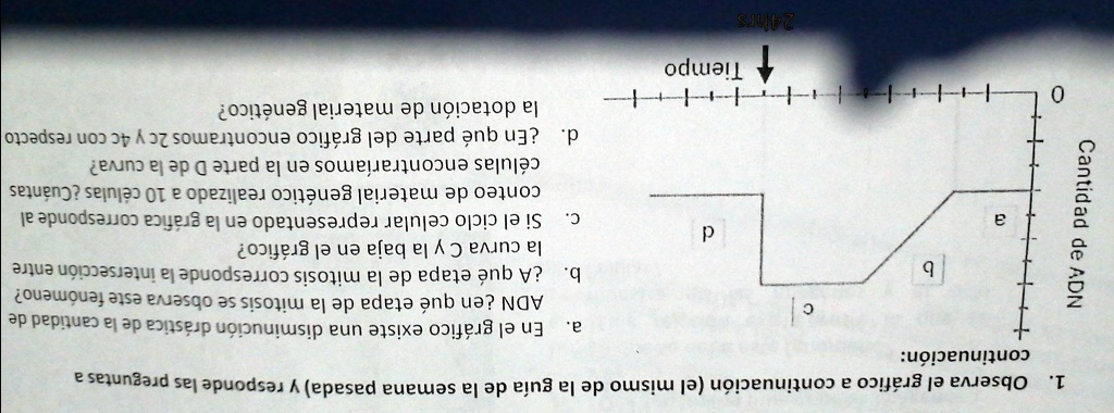 SOLVED: ¿QUÉ OCURRE CON EL MATERIAL GENÉTICO DURANTE LA MITOSIS ...