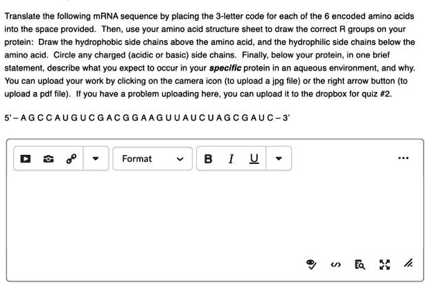 SOLVED: Translate the following mRNA sequence by placing the 3-letter code for each of the ...