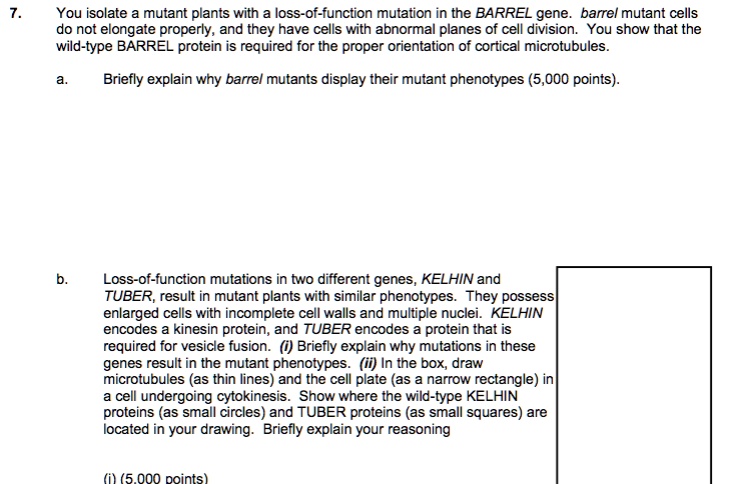 you isolate mutant plants with loss of function mutation in the barrel ...