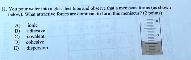 you pour water into glass test tube and observe that meniscus forms as ...
