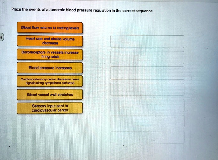 Place the events of autonomic blood pressure regulation in the correct sequence. Blood flow ...