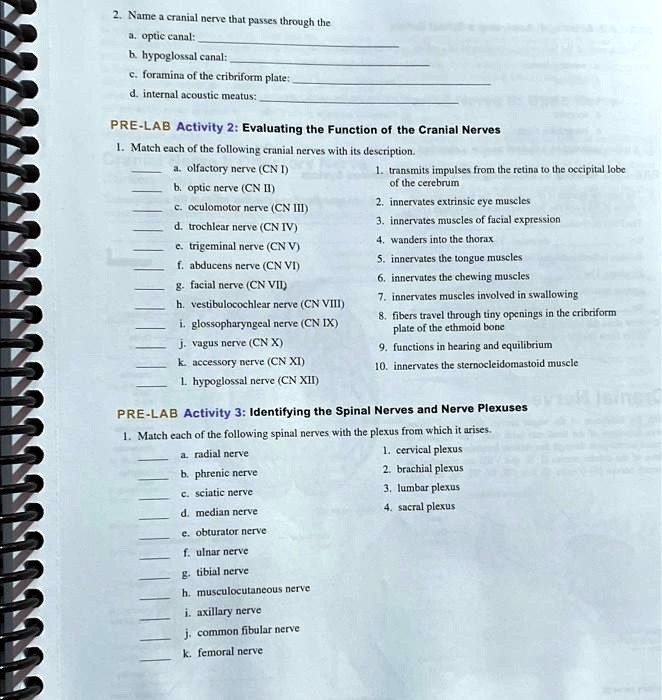 SOLVED: 2. Name a cranial nerve that passes through the optic canal b ...