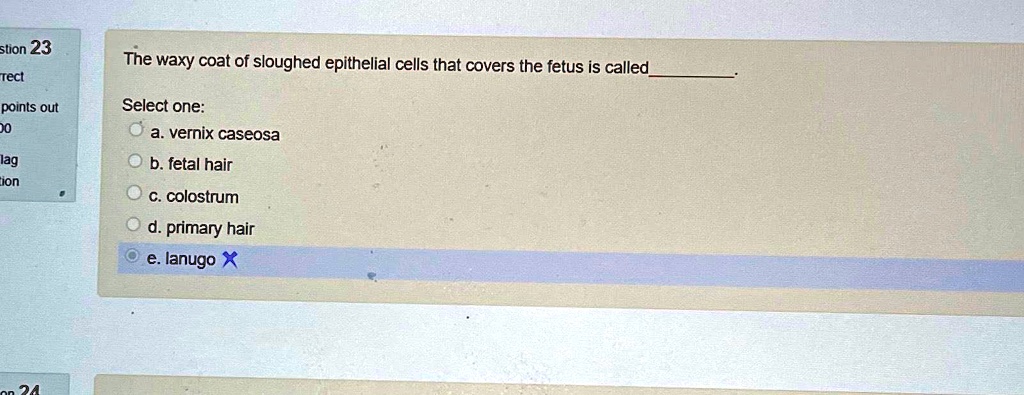 The waxy coat of sloughed epithelial cells that covers the fetus is ...