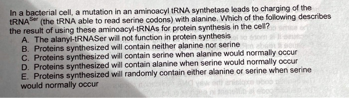in a bacterial cell a mutation in an aminoacyl trna synthetase leads to ...