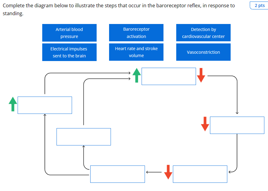 SOLVED: Complete the diagram below to illustrate the steps that occur ...