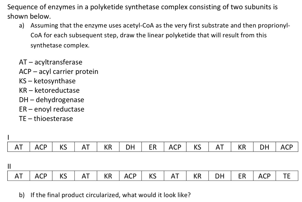 SOLVED:Sequence of enzymes in a polyketide synthetase complex ...