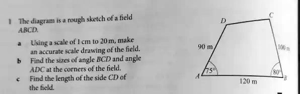 SOLVED: rough sketch of - field The diagram is ABCD Using Gale = Cm t0 20 m, make an accurate ...