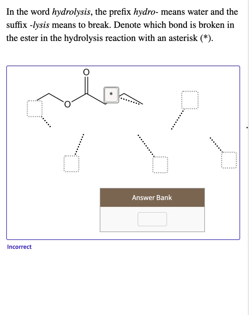 SOLVED: In the word hydrolysis, the prefix hydro- means water and the ...