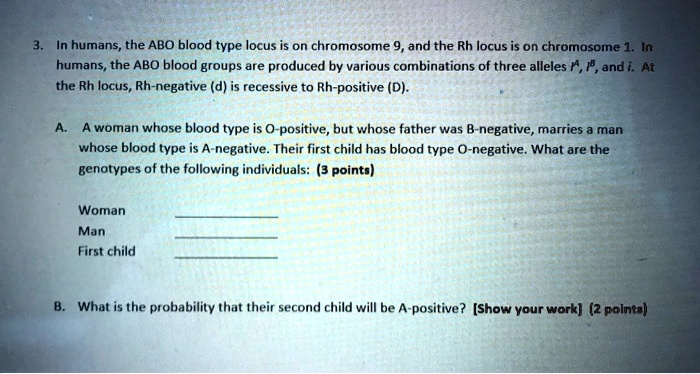 SOLVED: In humans the ABO blood type locus on chromosome and the Rh ...