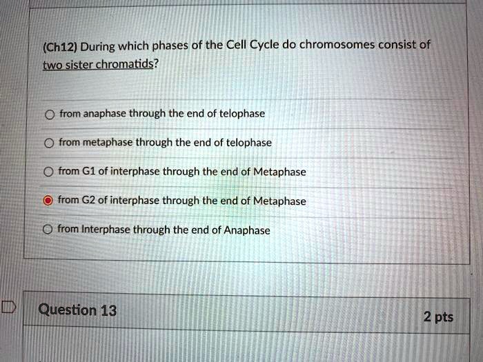 SOLVED: (Ch12) During which phases of the Cell Cycle do chromosomes ...