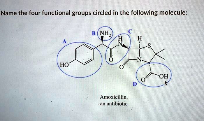 SOLVED: Name the four functional groups circled in the following molecule: NHz HO OH Amoxicillin ...