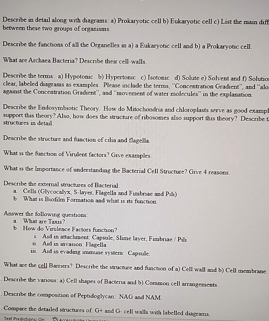 describe in detail along with diagrams a prokaryotic cell b eukaryotic ...