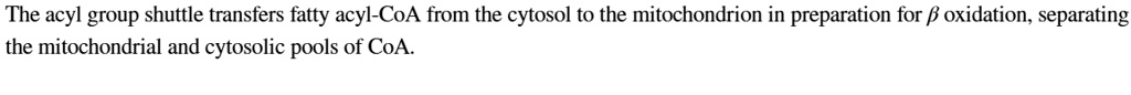 the acyl group shuttle transfers fatty acyl coa from the cytosol to the ...