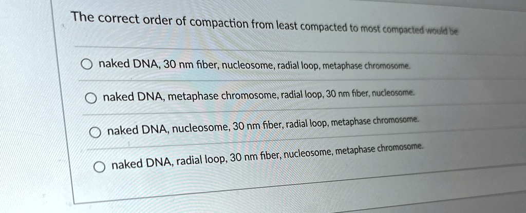 the correct order of compaction from least compacted to most compacted ...
