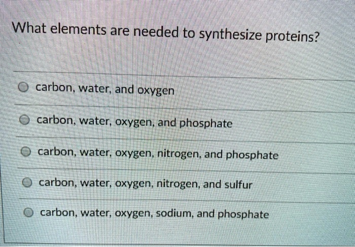 SOLVED: What elements are needed to synthesize proteins? carbon, water ...