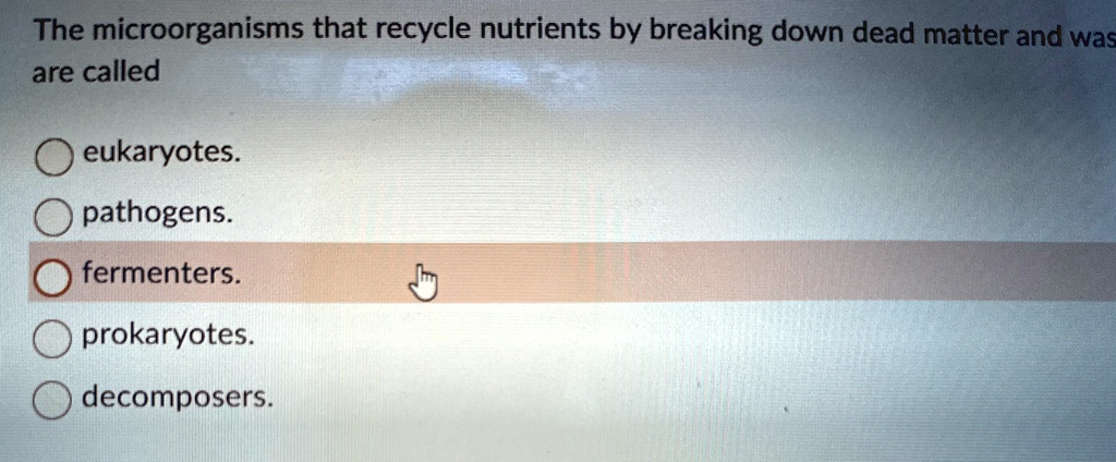 The microorganisms that recycle nutrients by breaking down dead matter ...