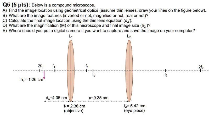 SOLVED: Q5 (5 pts): Below is a compound microscope. A) Find the image ...