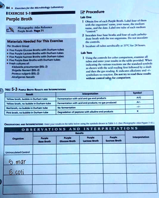 VIDEO solution: 84 Error in the Microbiology Laboratory EXERCISE 5-3 ...