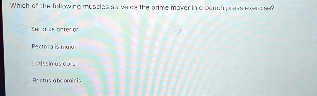 Which of the following muscles serve as the prime mover in a bench ...