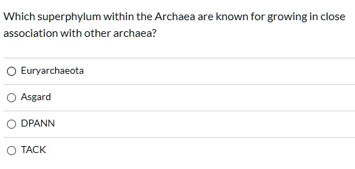 SOLVED: Which superphylum within the Archaea are known for growing in ...