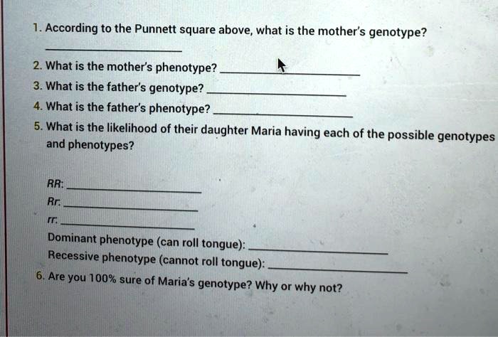 According to the Punnett square above; what is the mother's genotype? 2 ...