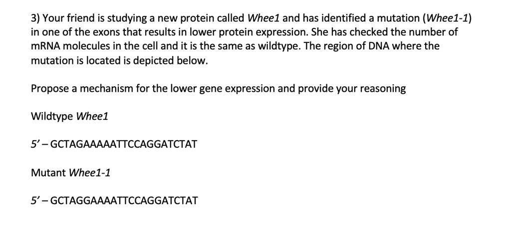 SOLVED:3) Your friend is studying a new protein called Wheel and has ...