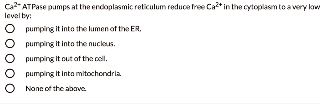 Ca^2+ ATPase pumps at the endoplasmic reticulum reduce free Ca^2+ in ...