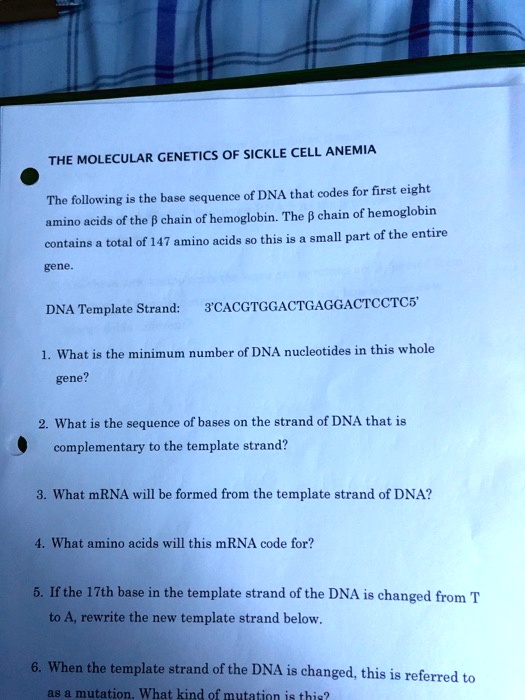the molecular genetics of sickle cell anemia the following is the base ...