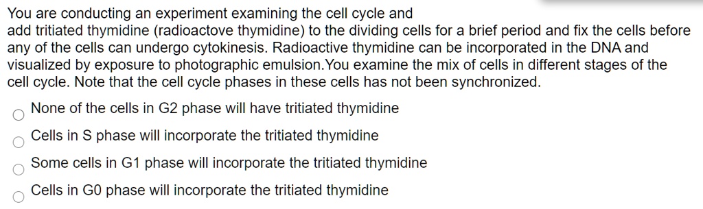 SOLVED: You are conducting an experiment examining the cell cycle and ...