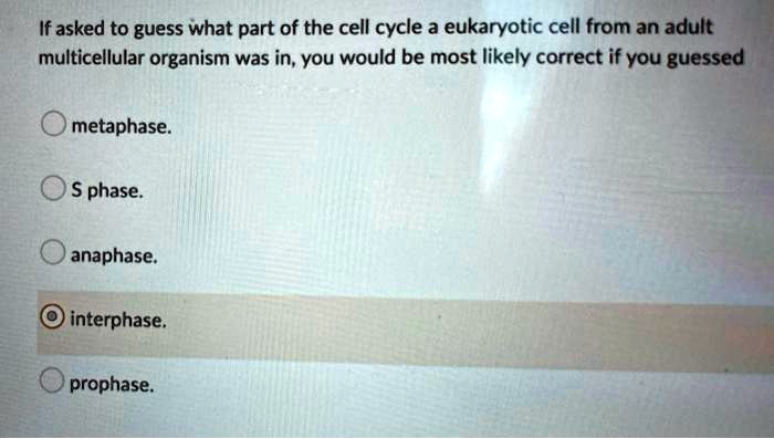 If asked to guess what part of the cell cycle a eukaryotic...