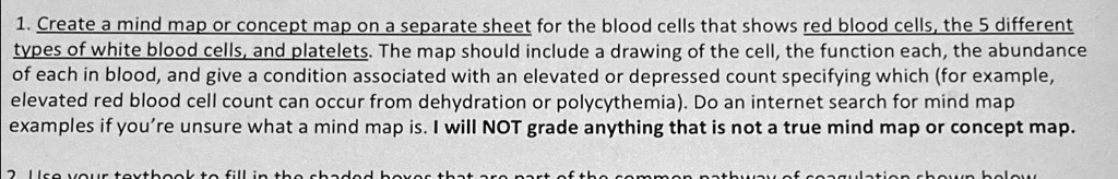 create a mind map or concept map on a separate sheet for the blood ...