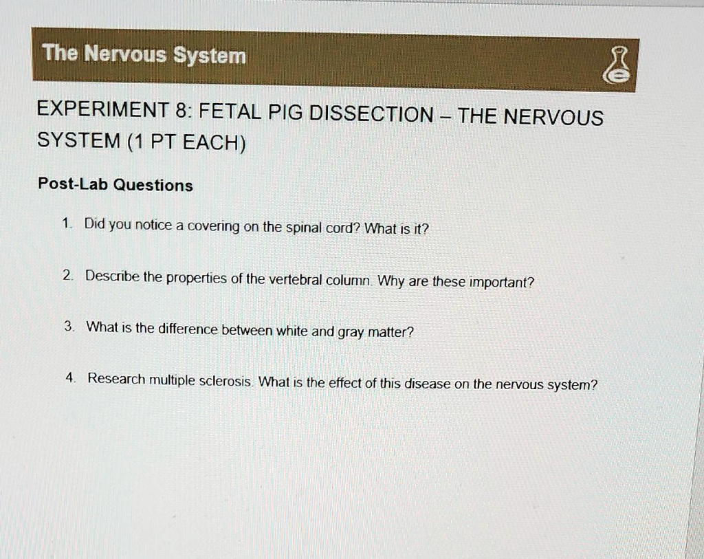 The Nervous System EXPERIMENT 8: FETAL PIG DISSECTION – THE NERVOUS ...