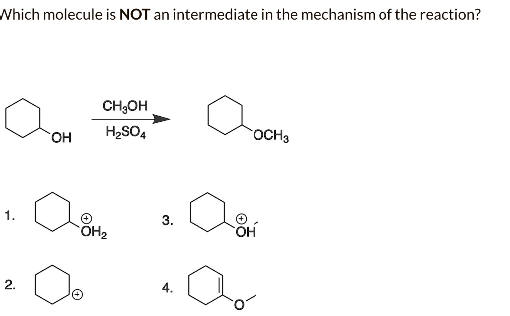 SOLVED: Which molecule is NOT an intermediate in the mechanism of the ...