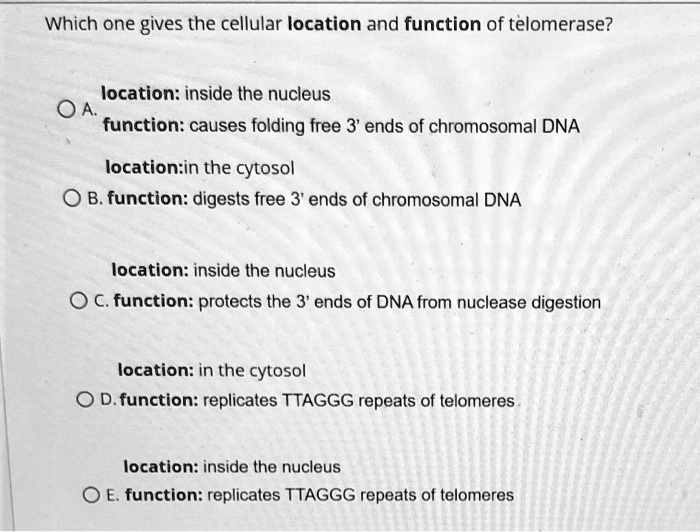 SOLVED: Which one gives the cellular Iocation and function of ...