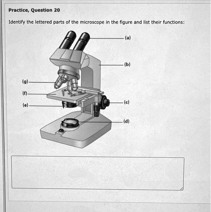 SOLVED:Practice, Question 20 Identify the lettered parts of the ...