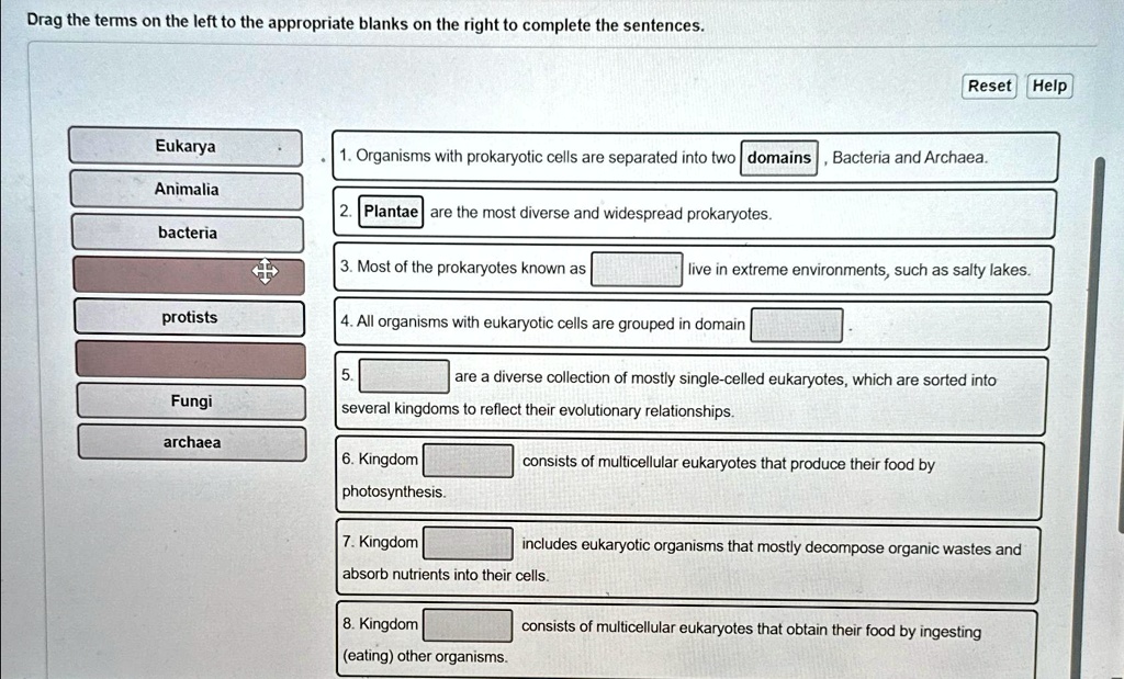 Drag the terms on the left to the appropriate blanks on the right to complete the sentences ...