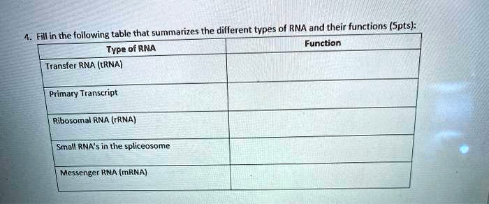 That summarizes the different types of RNA and their … - SolvedLib