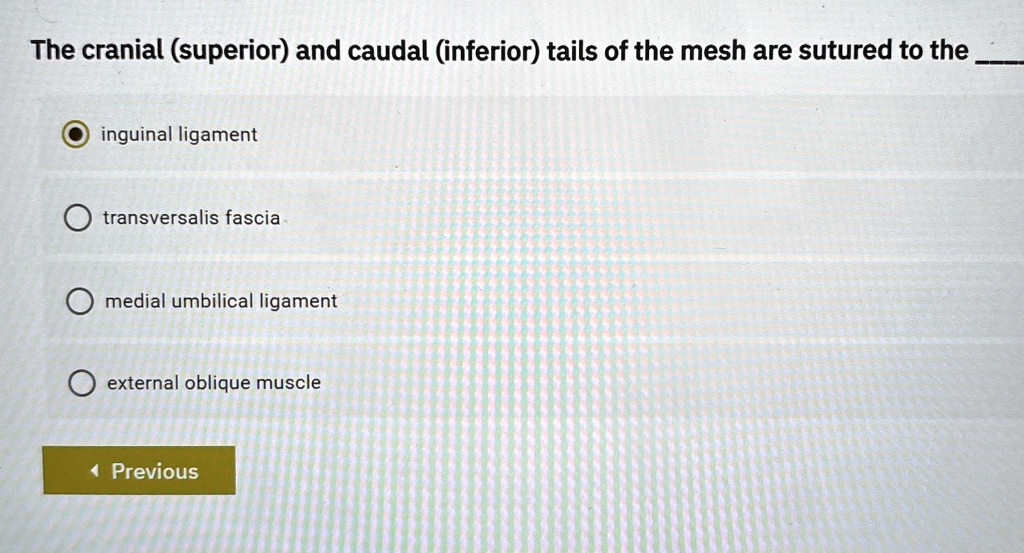 the cranial superior and caudal inferior tails of the mesh are sutured ...