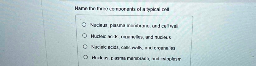 SOLVED: Name the three components of a typical cell. Nucleus, plasma ...