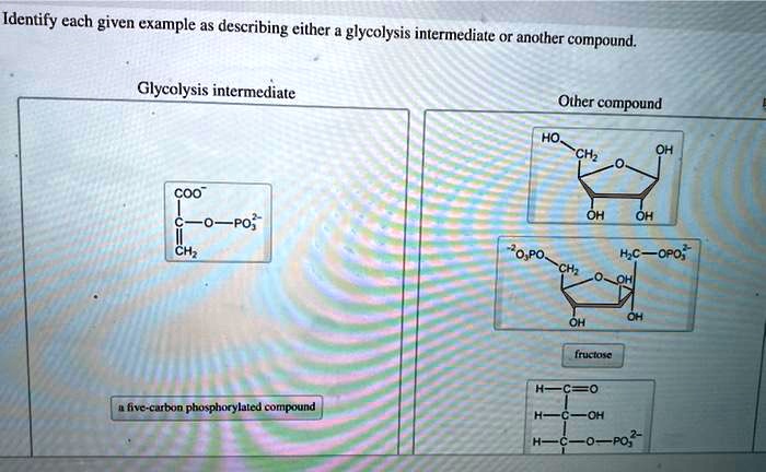 SOLVED: Identify each given example as describing either a glycolysis intermediate or another ...