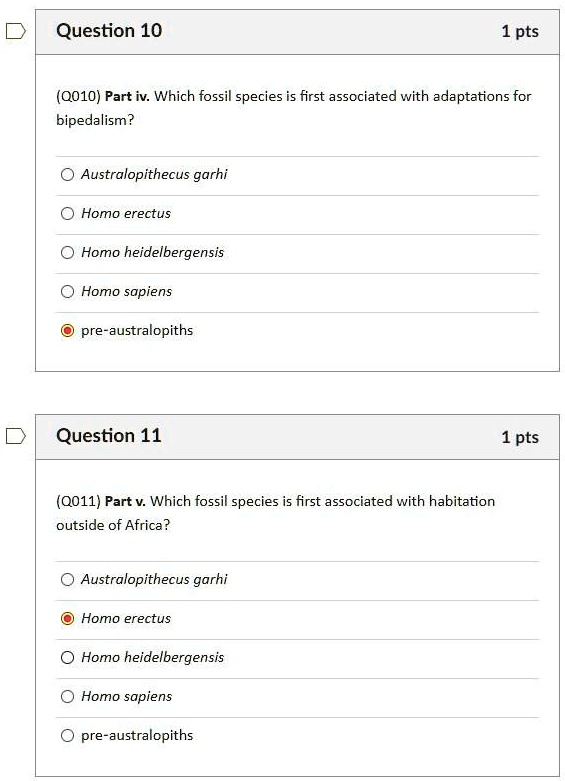 SOLVED: (Q010) Part iv: Which fossil species is first associated with ...