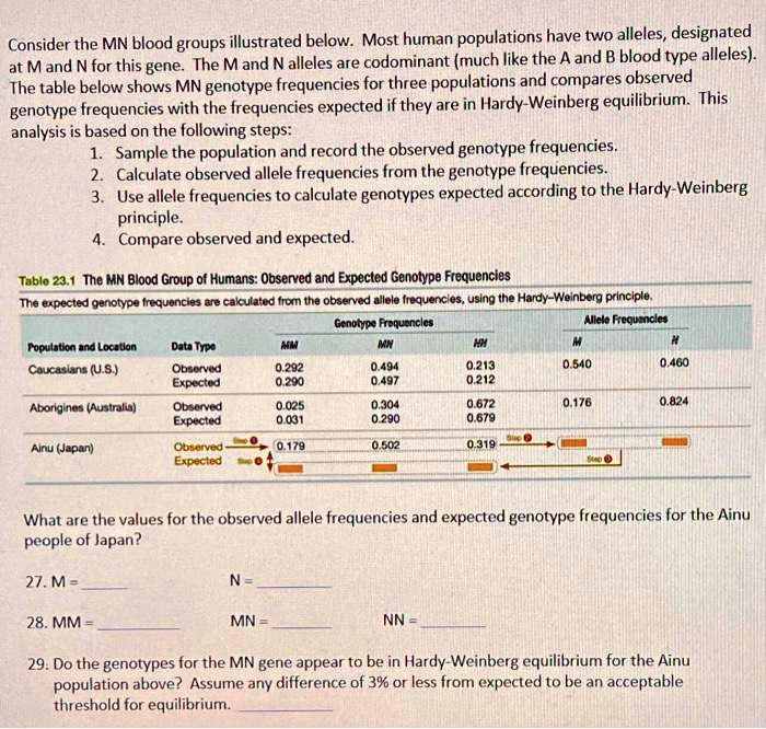 consider the mn blood groups illustrated below most human populations ...
