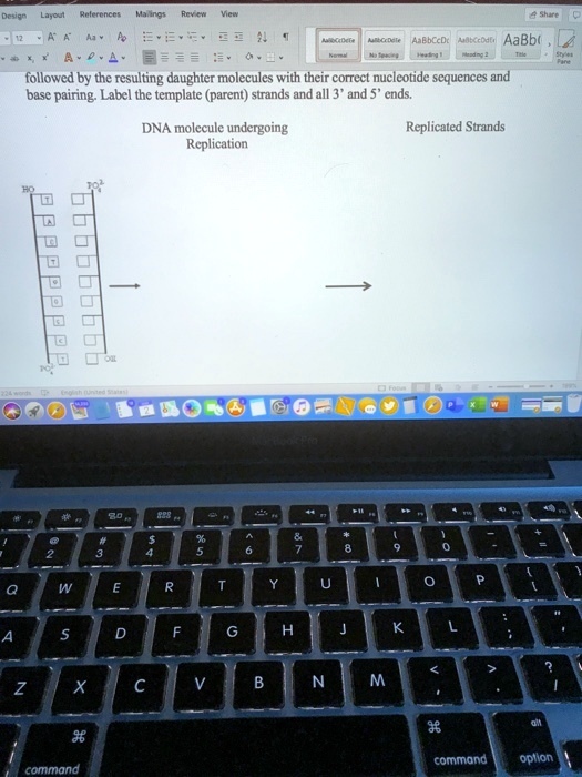 SOLVED: AAl bEcDt AaBbl followed by the resulting daughter molecules ...