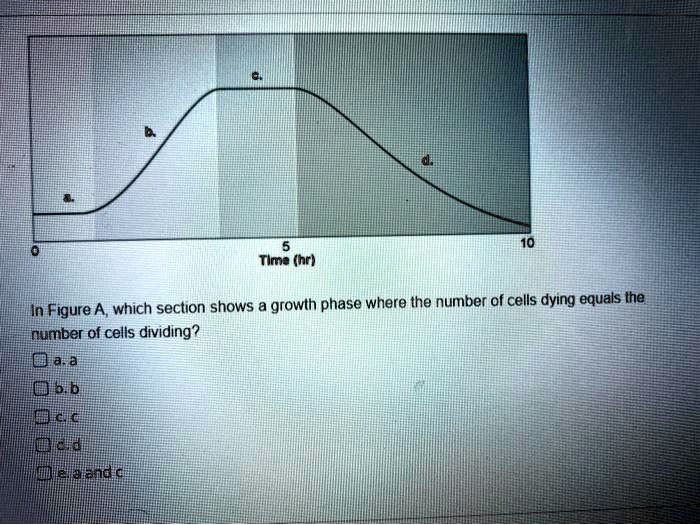 [GET ANSWER] tlnne hr iln figure a which section shows a growth phase ...
